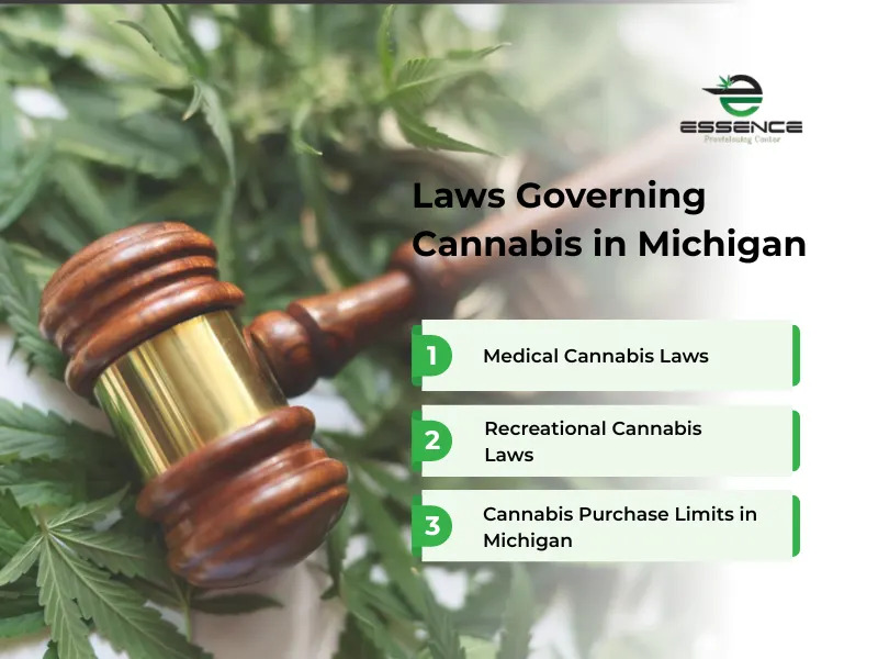 Is Cannabis Legal in Michigan: Everything You Need to Know